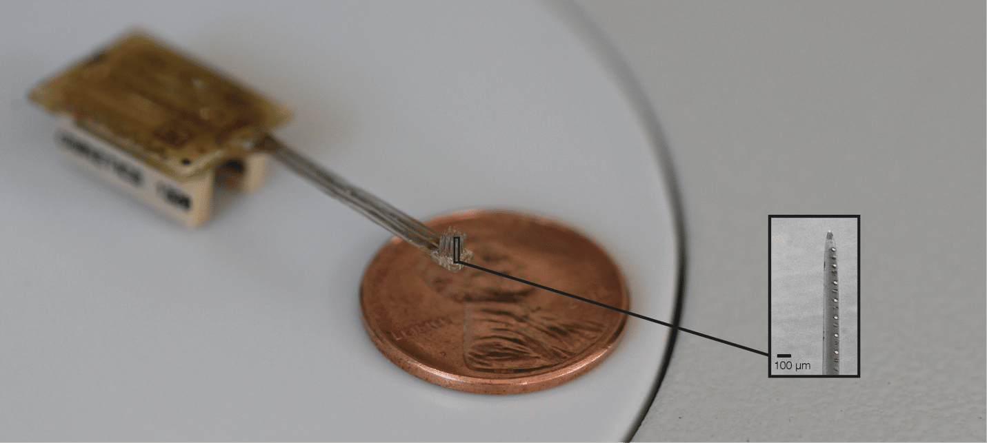 N-Form® Multi-Electrode Array - Spike Neuro